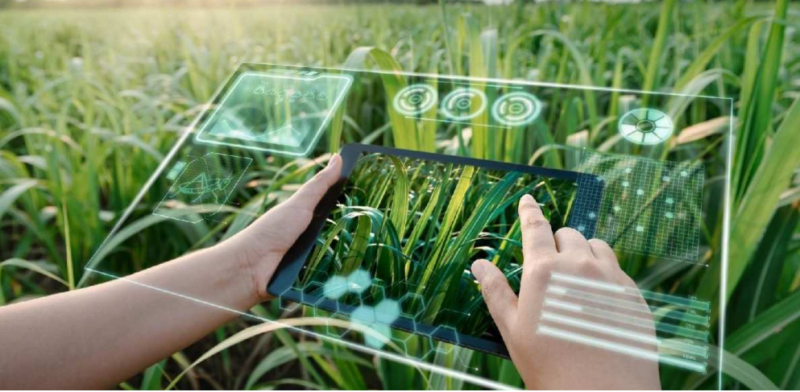 Techcoop - Một startup công nghệ nông nghiệp Việt gọi vốn thành công 70 ...
